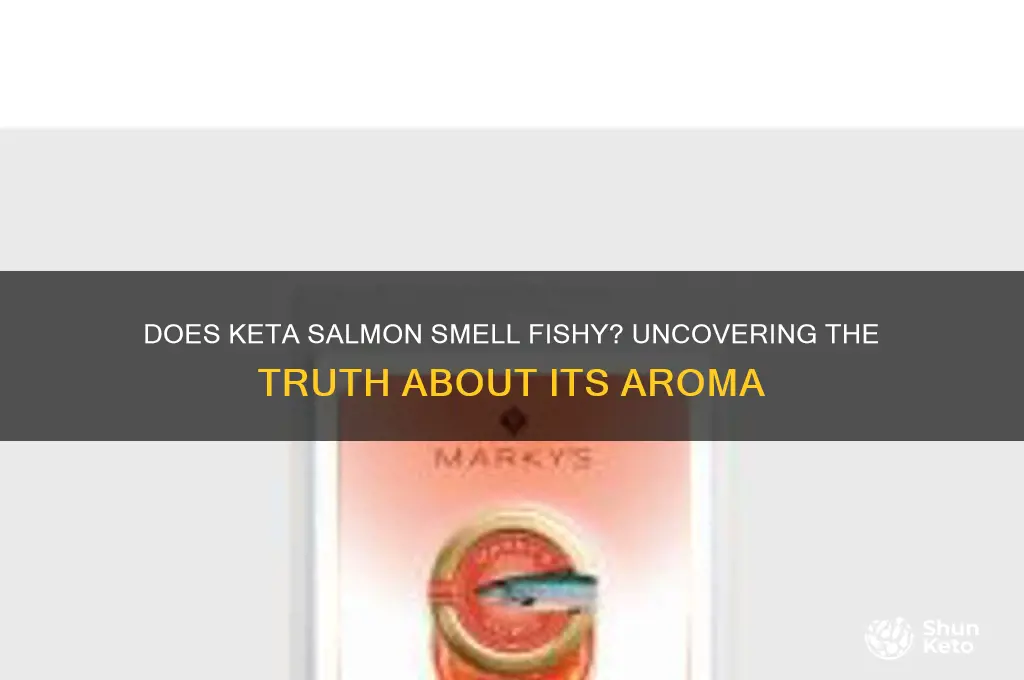Does Keta Salmon Smell Fishy? Uncovering The Truth About Its Aroma ...