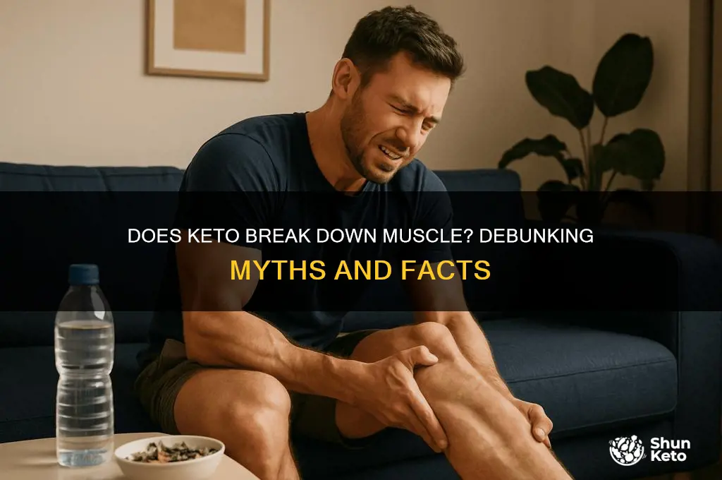 Does Keto Break Down Muscle? Debunking Myths And Facts | ShunKeto