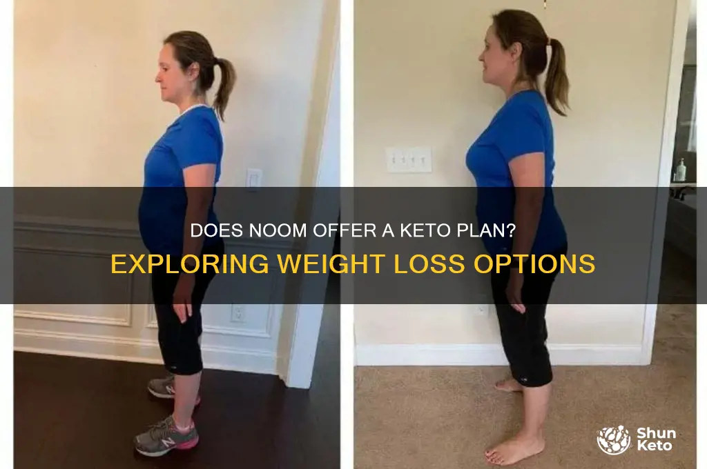 Does Noom Offer A Keto Plan? Exploring Weight Loss Options | ShunKeto