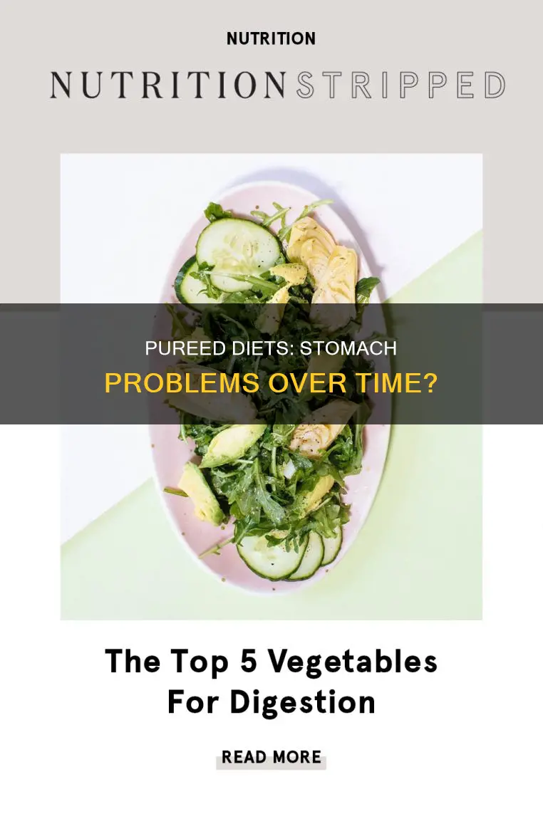 Pureed Diets: Stomach Problems Over Time? | ShunKeto