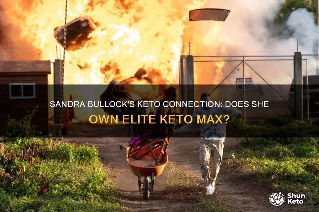 Sandra Bullock's Keto Connection: Does She Own Elite Keto Max? | ShunKeto