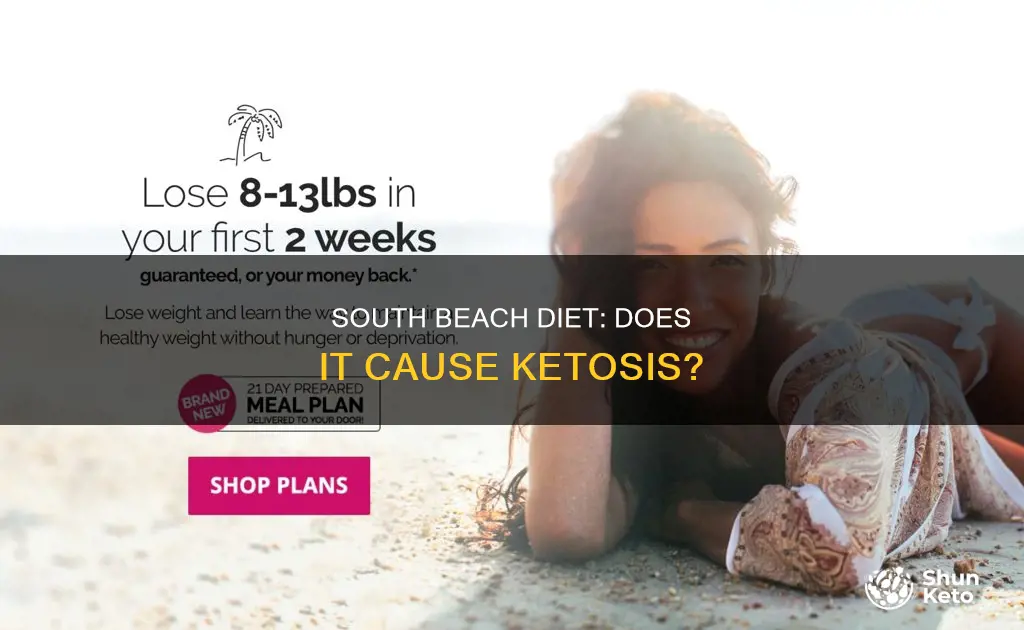 South Beach Diet: Does It Cause Ketosis? | ShunKeto