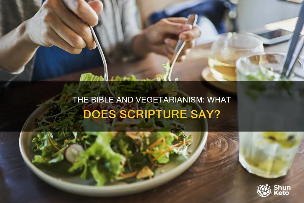The Bible And Vegetarianism: What Does Scripture Say? | ShunKeto