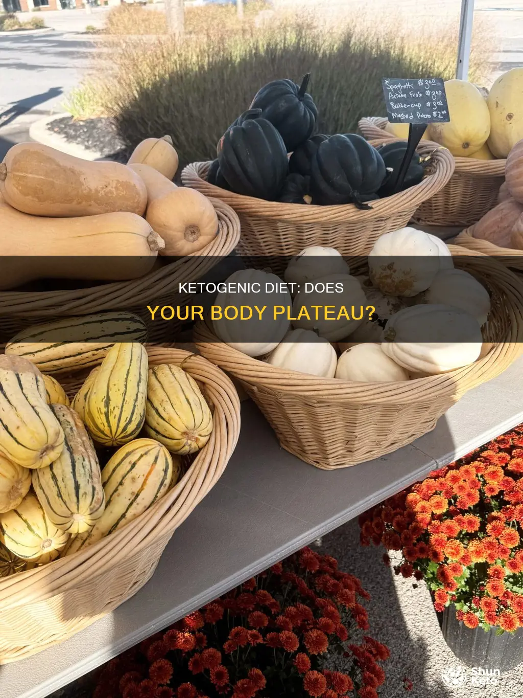 Ketogenic Diet: Does Your Body Plateau? | ShunKeto