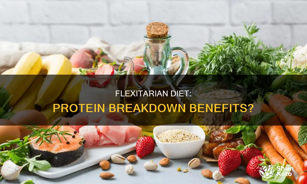 Flexitarian Diet: Protein Breakdown Benefits? | ShunKeto