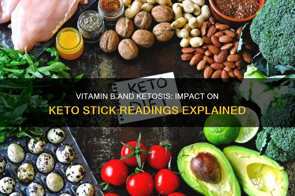 Vitamin B And Ketosis: Impact On Keto Stick Readings Explained | ShunKeto