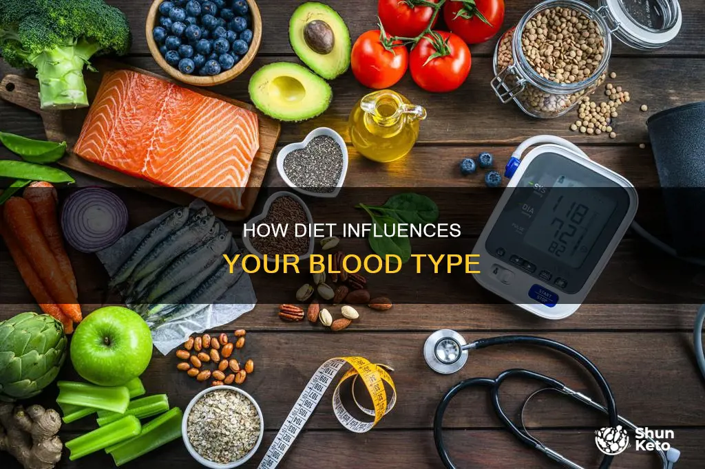 How Diet Influences Your Blood Type | ShunKeto