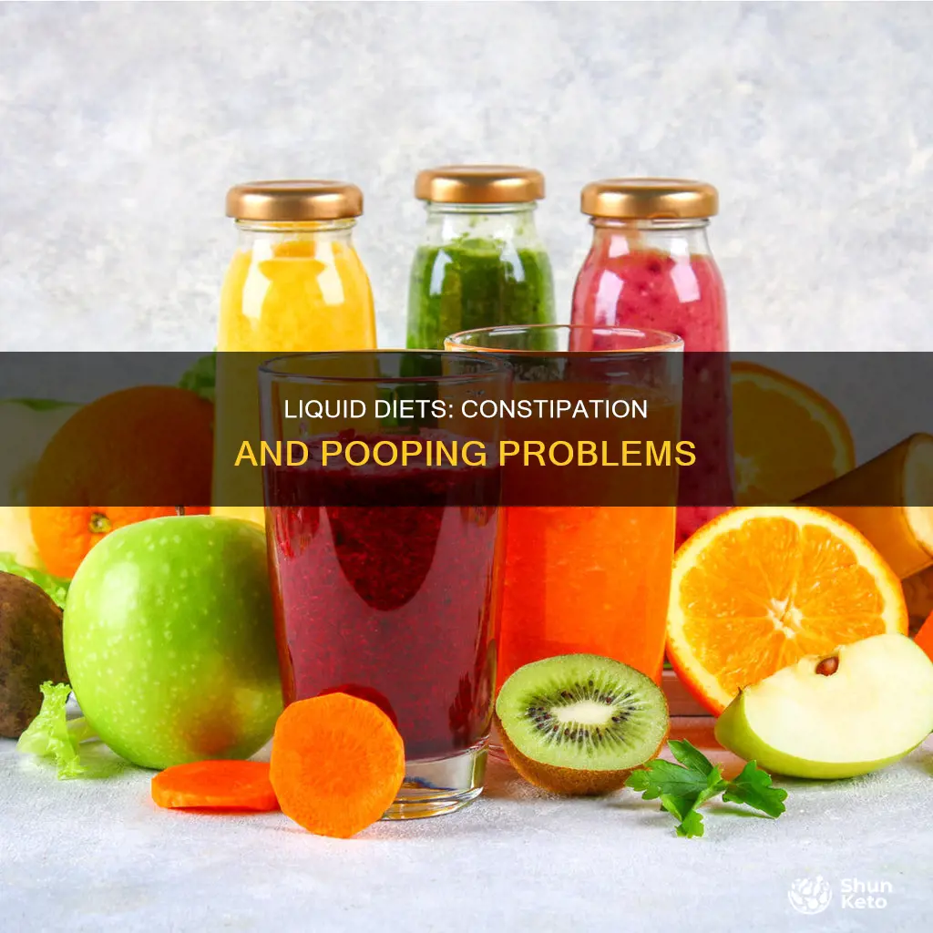 Liquid Diets: Constipation And Pooping Problems | ShunKeto