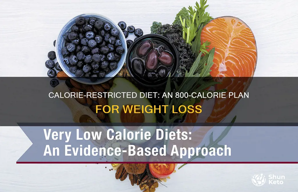 Calorie-Restricted Diet: An 800-Calorie Plan For Weight Loss | ShunKeto