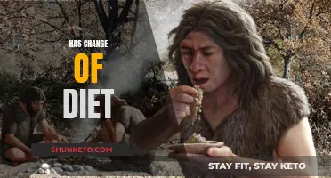The Evolution Of American Eating Habits | ShunKeto