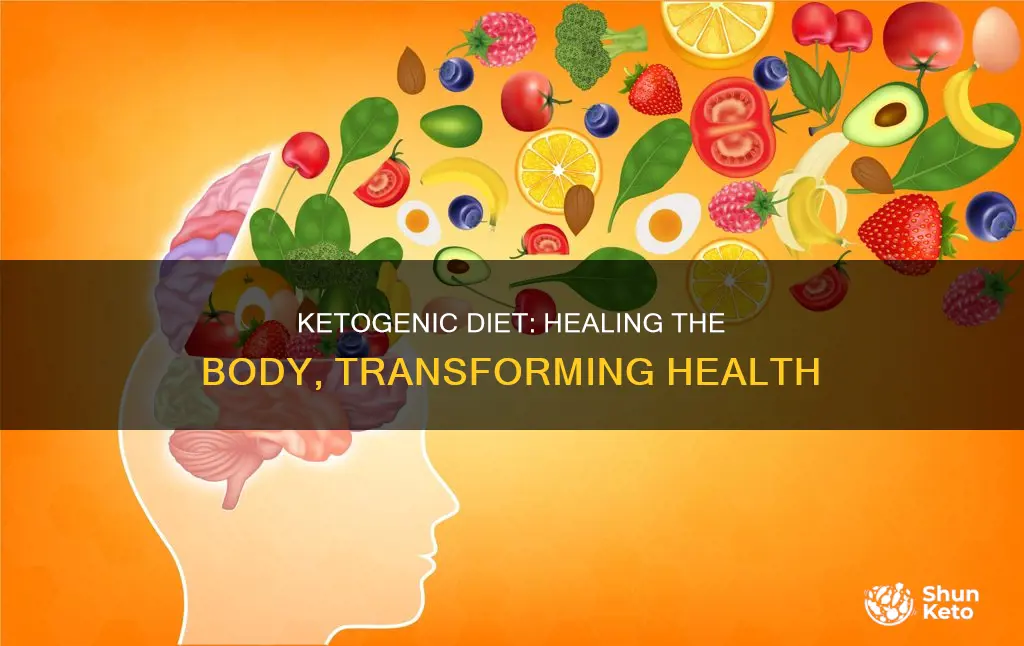 Ketogenic Diet: Healing The Body, Transforming Health | ShunKeto