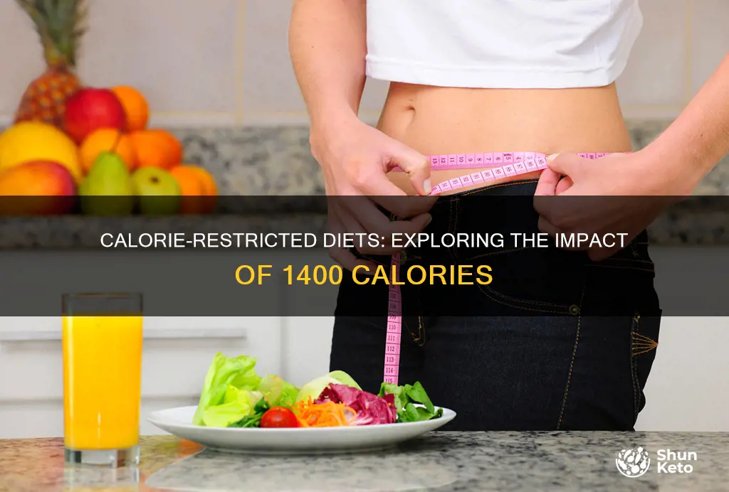 Calorie-Restricted Diets: Exploring The Impact Of 1400 Calories | ShunKeto