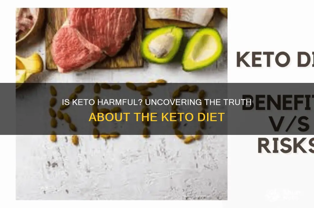 Is Keto Harmful? Uncovering The Truth About The Keto Diet | ShunKeto