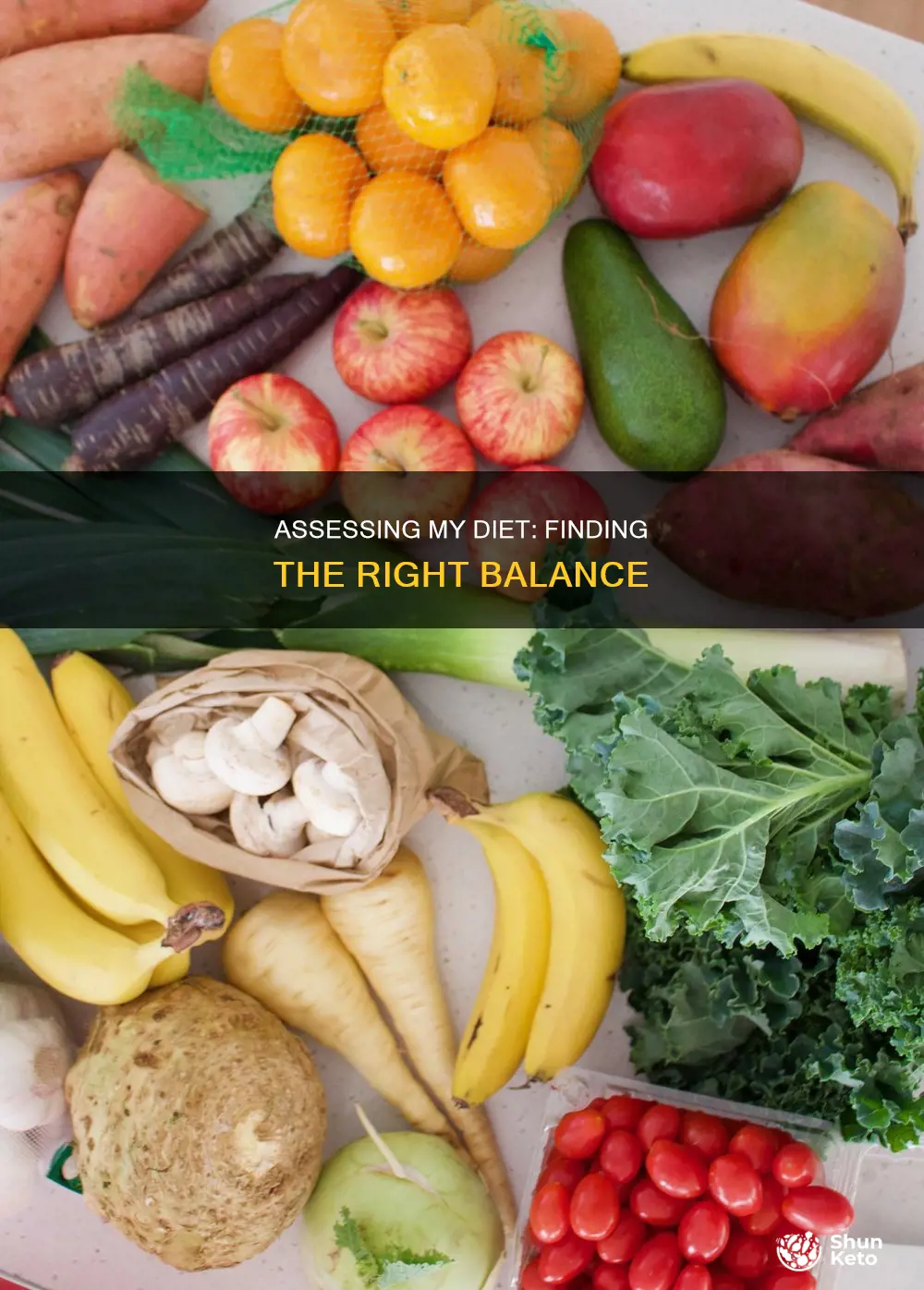 Assessing My Diet: Finding The Right Balance | ShunKeto