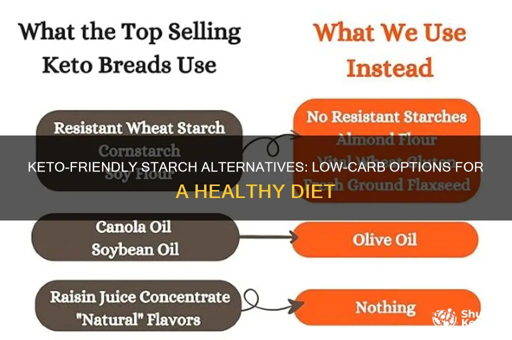 Keto-Friendly Starch Alternatives: Low-Carb Options For A Healthy Diet ...