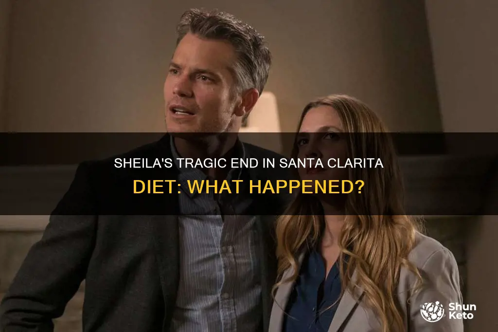 Sheila's Tragic End In Santa Clarita Diet: What Happened? | ShunKeto