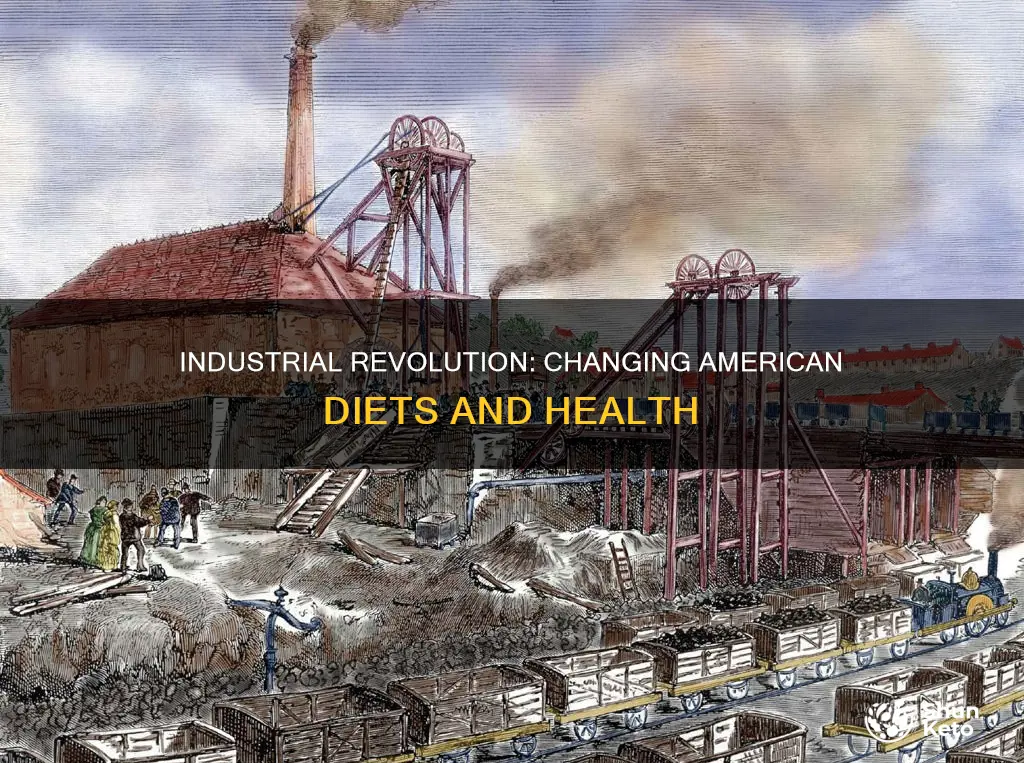 Industrial Revolution: Changing American Diets And Health | ShunKeto