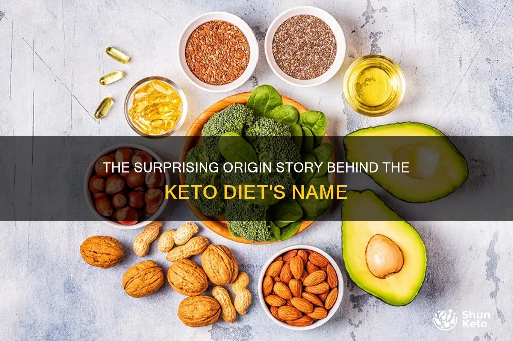 The Surprising Origin Story Behind The Keto Diet's Name | ShunKeto