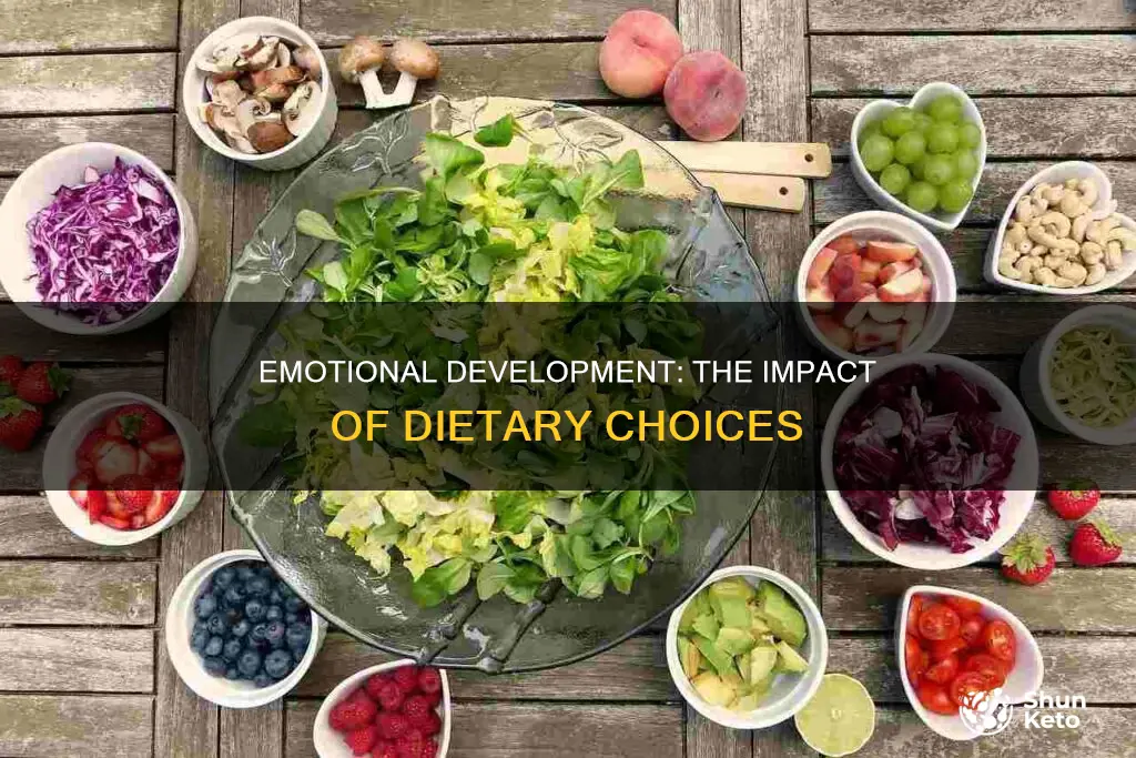 Emotional Development: The Impact Of Dietary Choices | ShunKeto