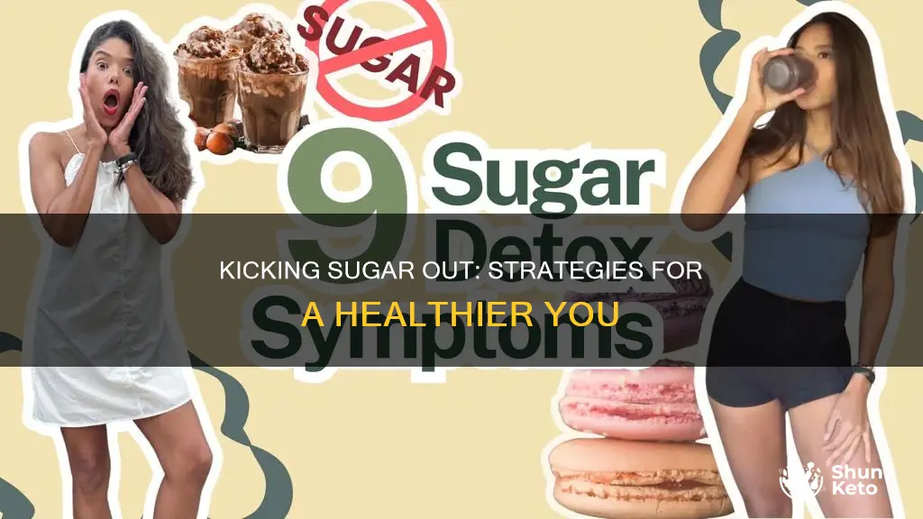Kicking Sugar Out: Strategies For A Healthier You | ShunKeto