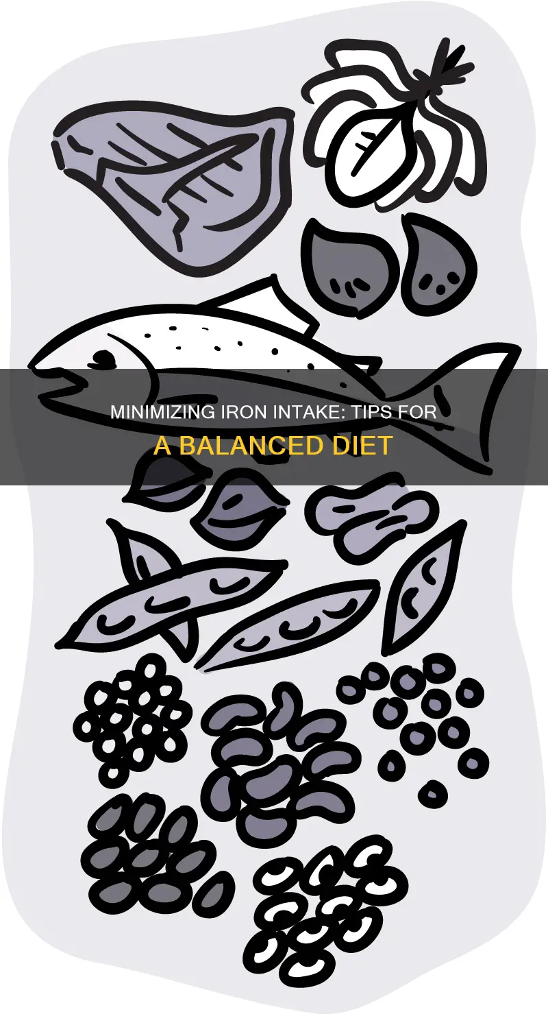 Minimizing Iron Intake: Tips For A Balanced Diet | ShunKeto