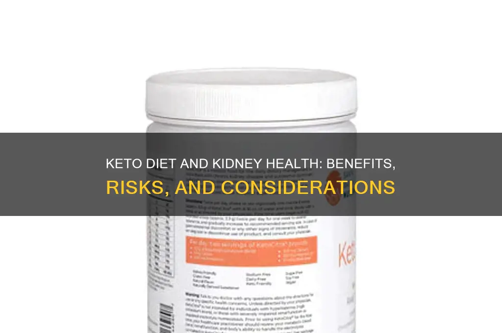 Keto Diet And Kidney Health: Benefits, Risks, And Considerations | ShunKeto