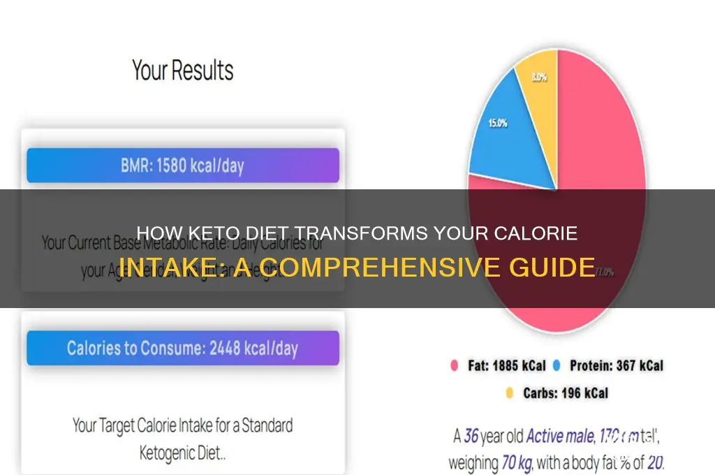 How Keto Diet Transforms Your Calorie Intake: A Comprehensive Guide ...