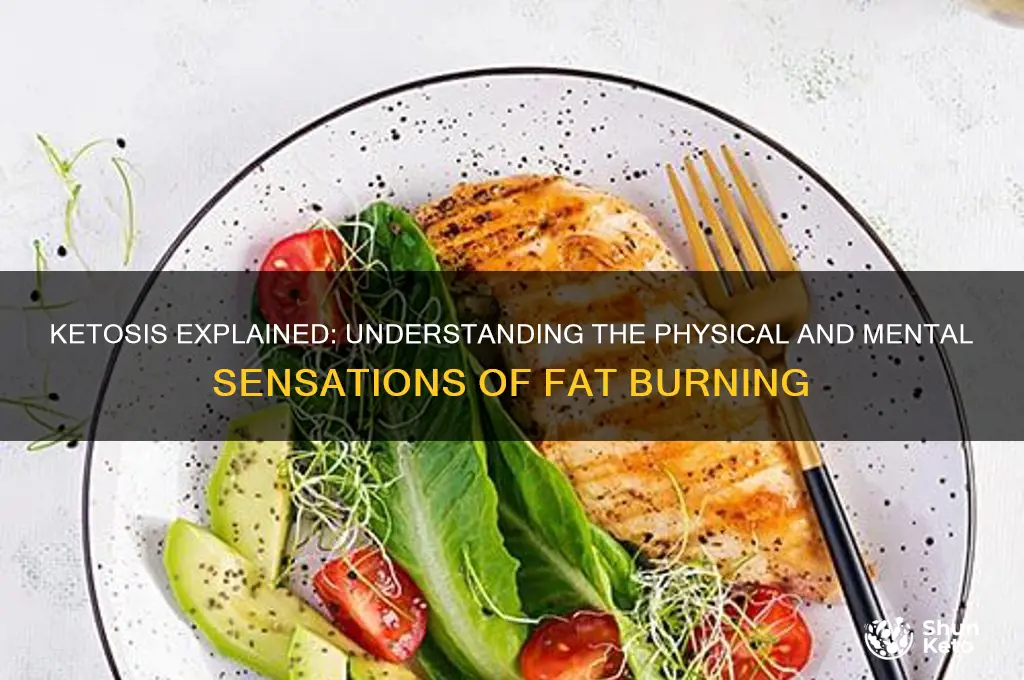 Ketosis Explained: Understanding The Physical And Mental Sensations Of ...