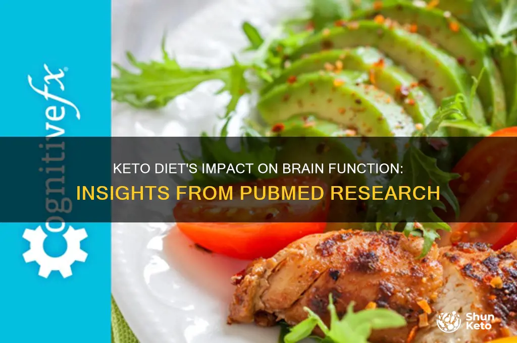 Keto Diet's Impact On Brain Function: Insights From Pubmed Research ...