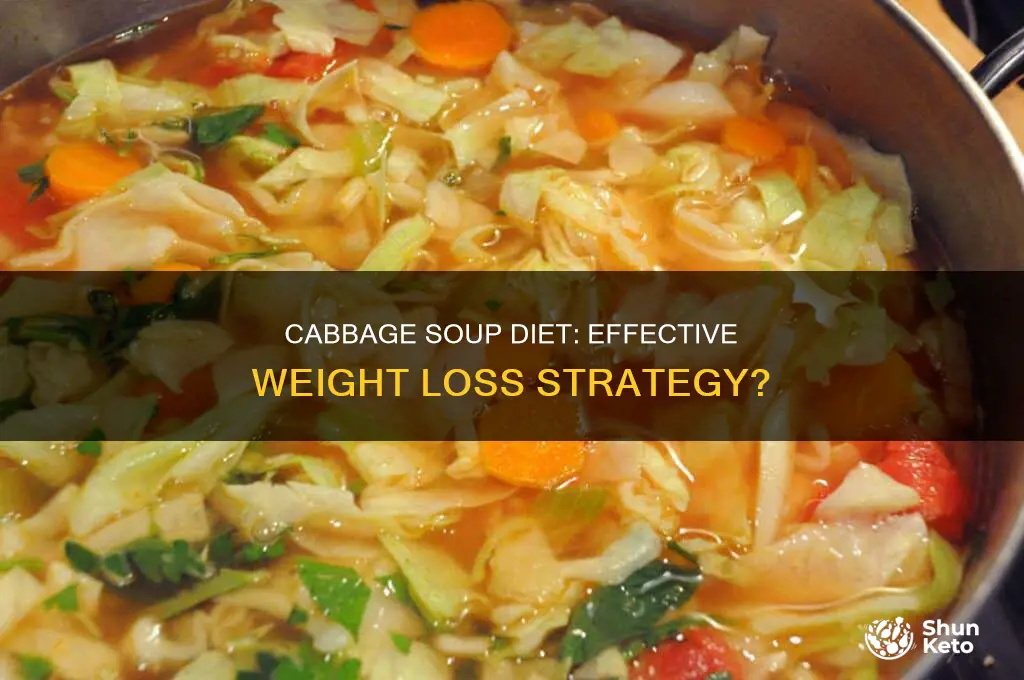 Cabbage Soup Diet: Effective Weight Loss Strategy? | ShunKeto