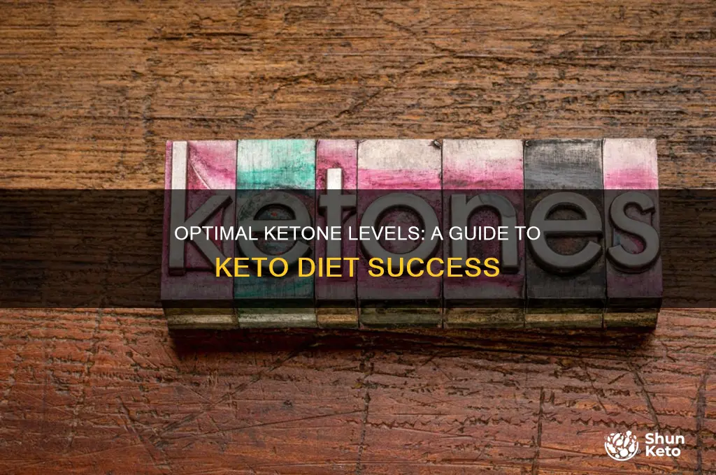 Optimal Ketone Levels: A Guide To Keto Diet Success | ShunKeto