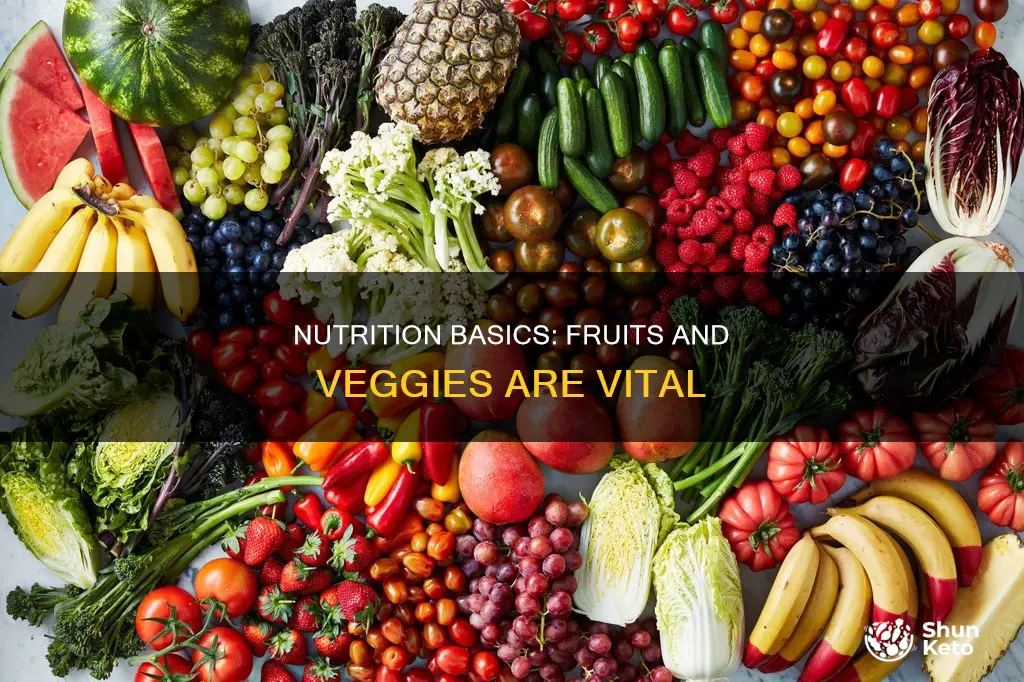 Nutrition Basics: Fruits And Veggies Are Vital | ShunKeto