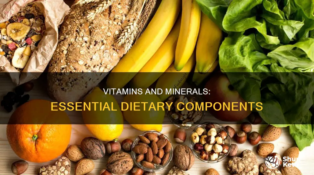 Vitamins And Minerals: Essential Dietary Components | ShunKeto