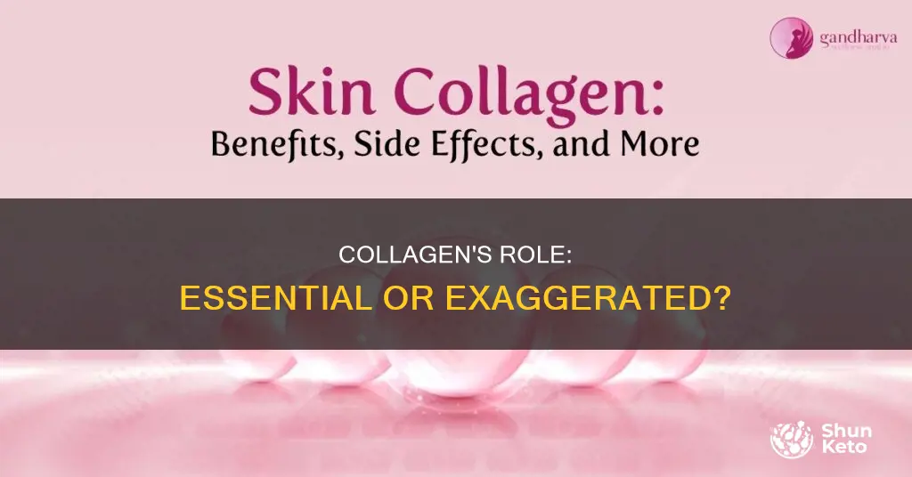 Collagen's Role: Essential Or Exaggerated? | ShunKeto