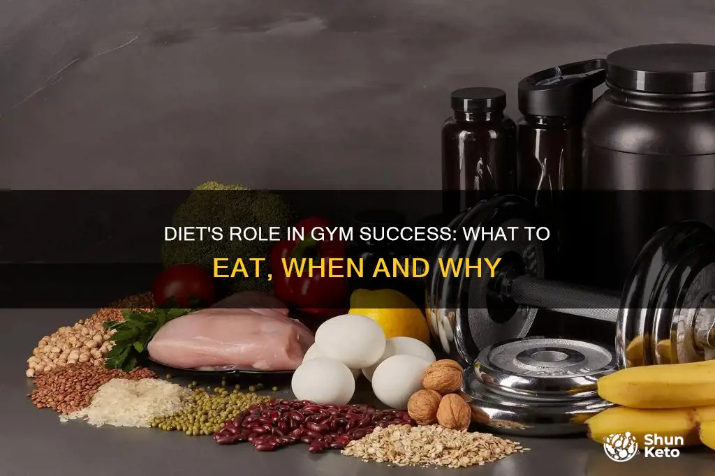 Diet's Role In Gym Success: What To Eat, When And Why | ShunKeto
