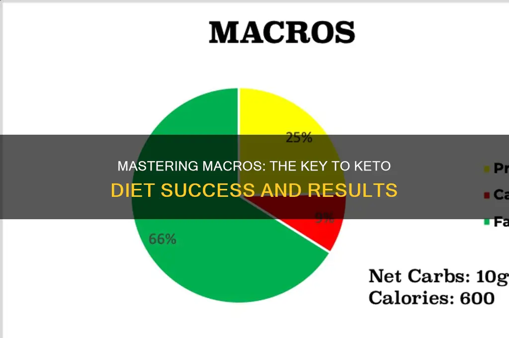 Mastering Macros: The Key To Keto Diet Success And Results | ShunKeto