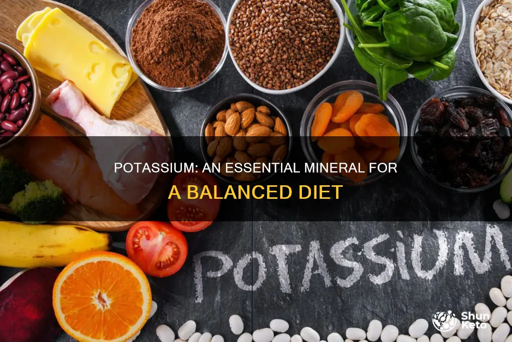 Potassium: An Essential Mineral For A Balanced Diet | ShunKeto