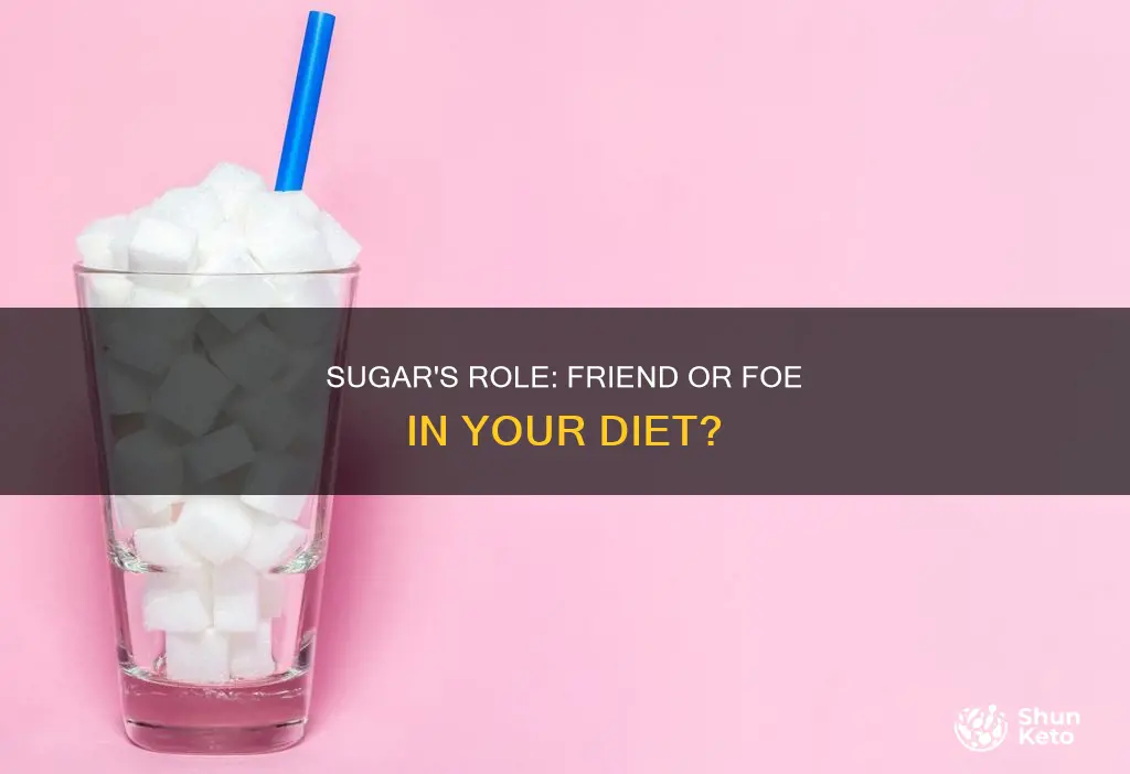 Sugar's Role: Friend Or Foe In Your Diet? | ShunKeto