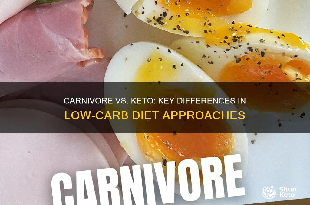 Carnivore Vs. Keto: Key Differences In Low-Carb Diet Approaches | ShunKeto