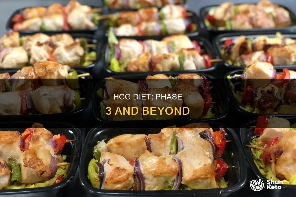 Hcg Diet: Phase 3 And Beyond | ShunKeto