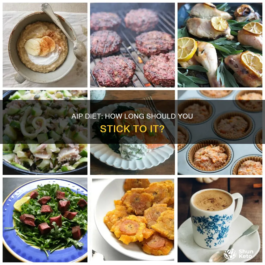 Aip Diet: How Long Should You Stick To It? | ShunKeto