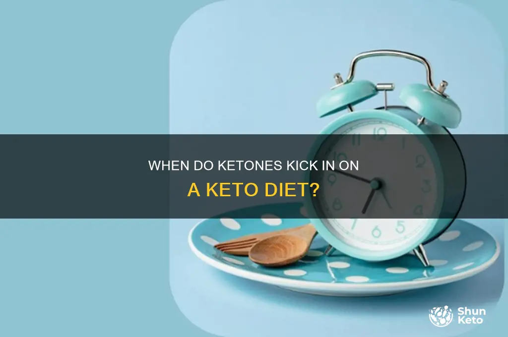 When Do Ketones Kick In On A Keto Diet? | ShunKeto
