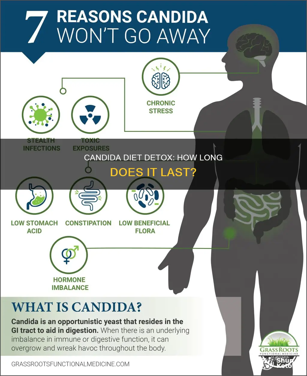 Candida Diet Detox: How Long Does It Last? | ShunKeto