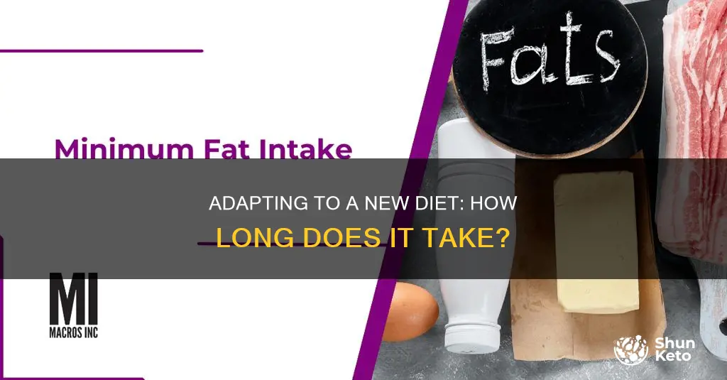 Adapting To A New Diet: How Long Does It Take? | ShunKeto
