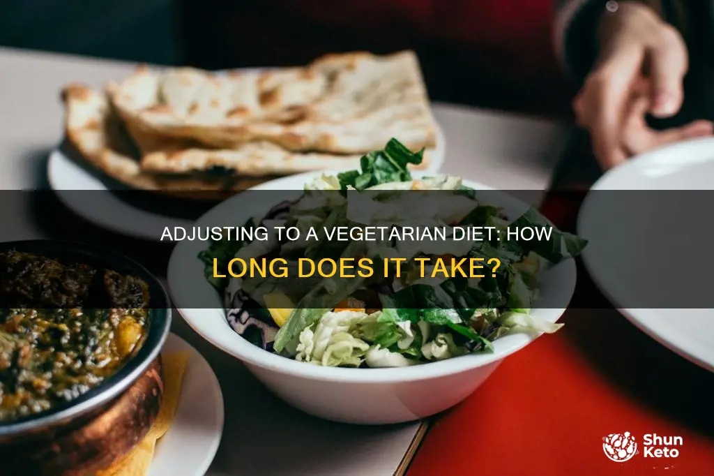 Adjusting To A Vegetarian Diet: How Long Does It Take? | ShunKeto