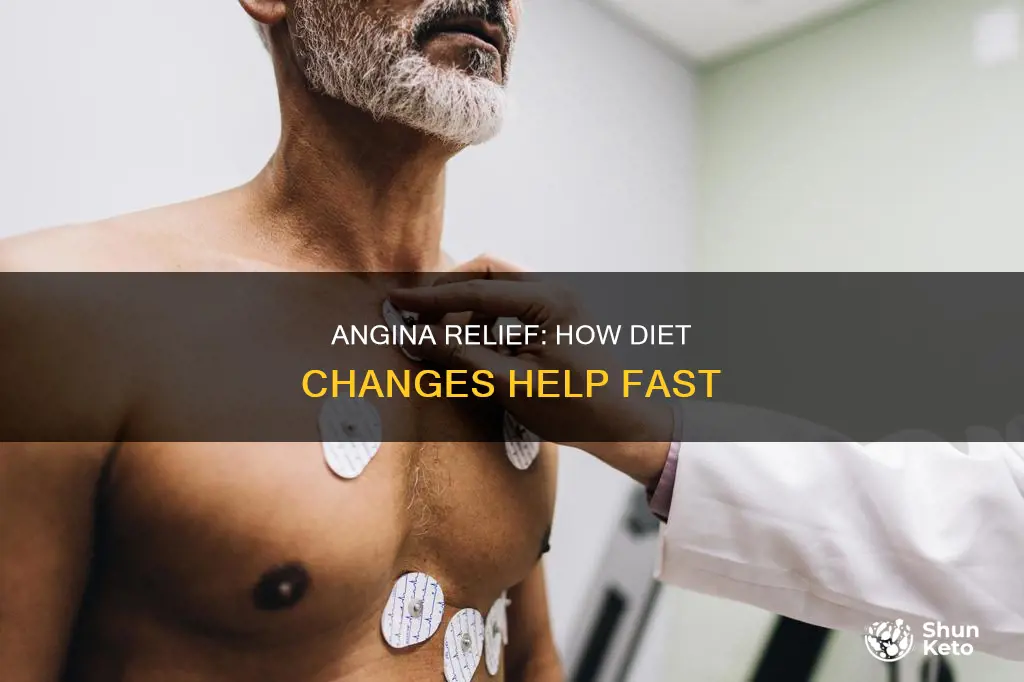 Angina Relief: How Diet Changes Help Fast | ShunKeto
