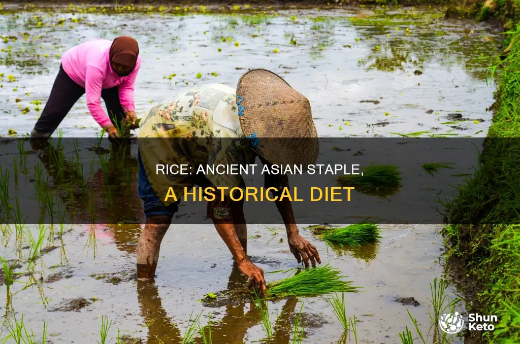 Rice: Ancient Asian Staple, A Historical Diet | ShunKeto