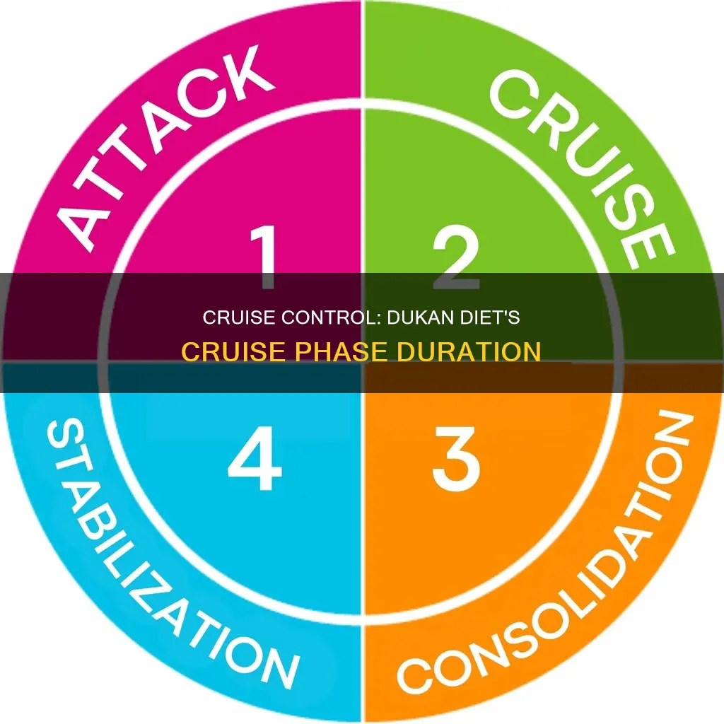 Cruise Control: Dukan Diet's Cruise Phase Duration | ShunKeto