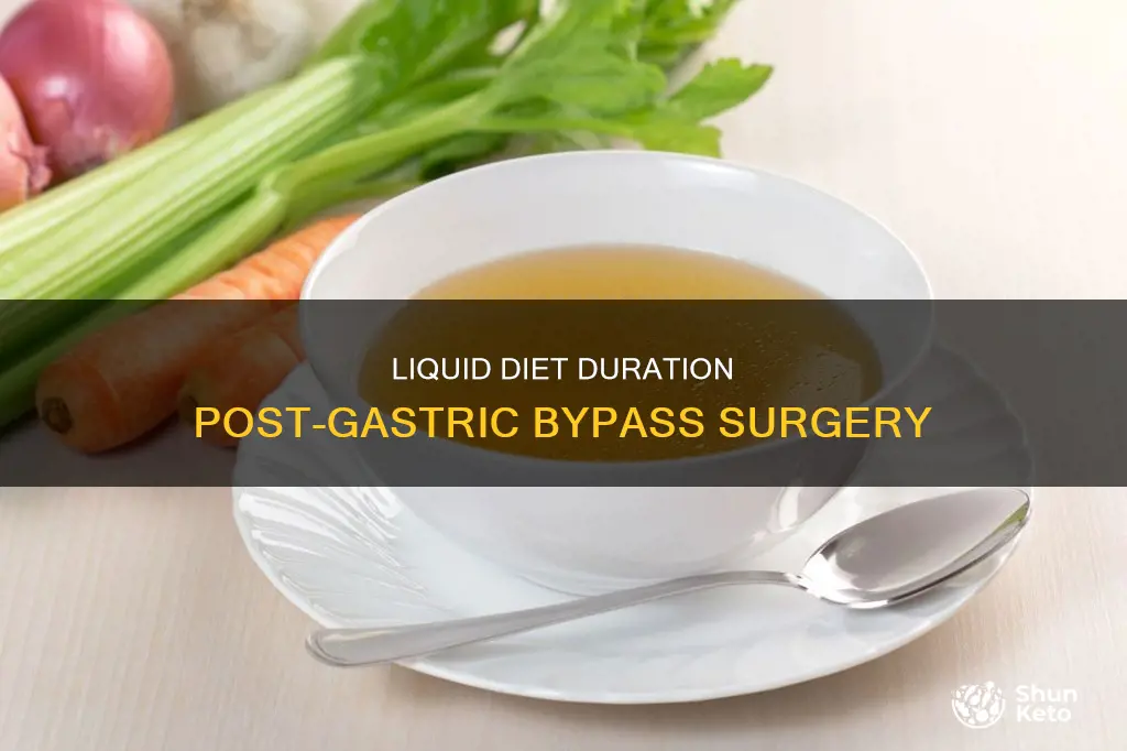 Liquid Diet Duration Post-Gastric Bypass Surgery | ShunKeto