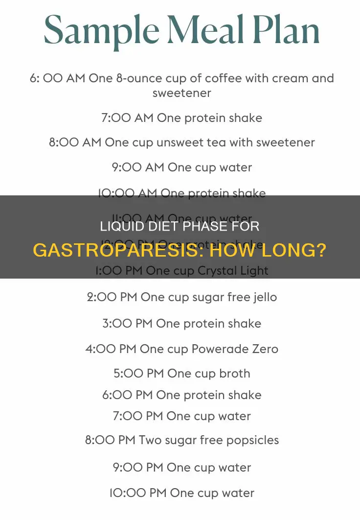 Liquid Diet Phase For Gastroparesis: How Long? | ShunKeto